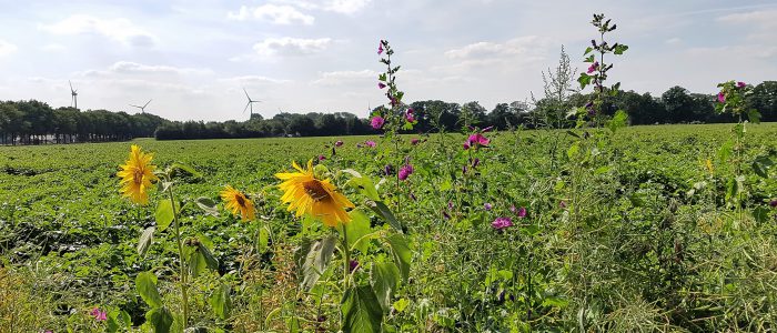 Informatie – Barlo.nl