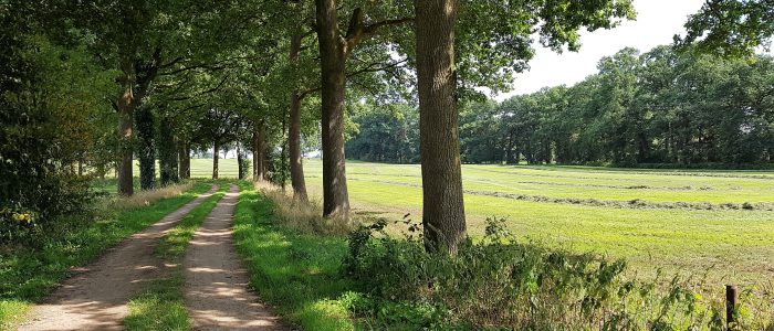 Informatie – Barlo.nl