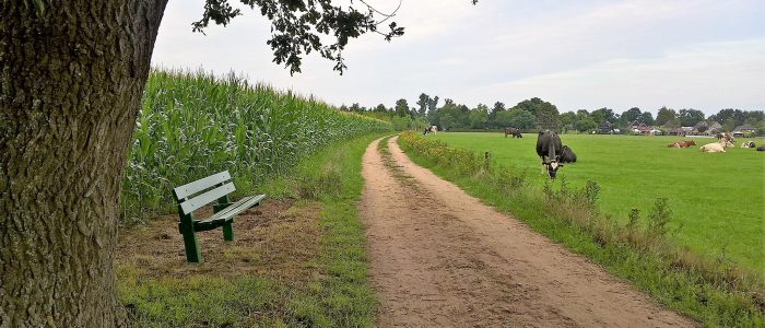 Informatie – Barlo.nl