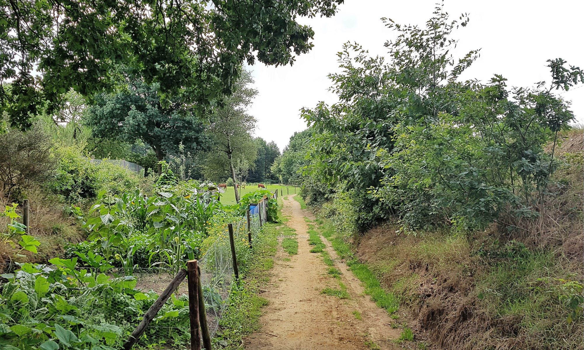 Barlo.nl – Buurtschap van de gemeente Aalten