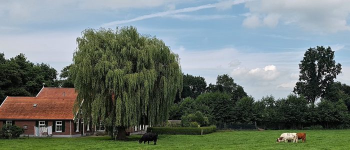 Informatie – Barlo.nl