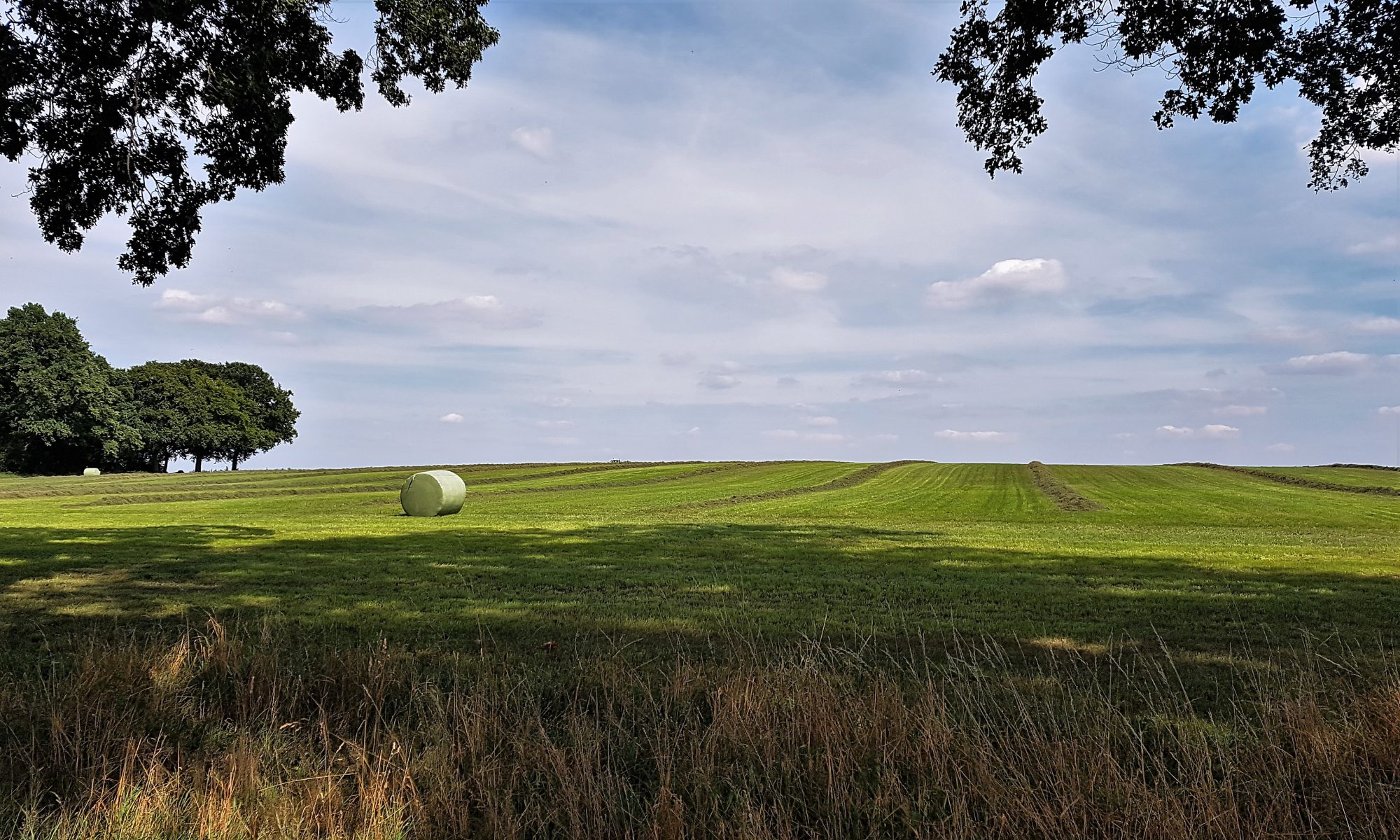 CBS Barlo – Barlo.nl