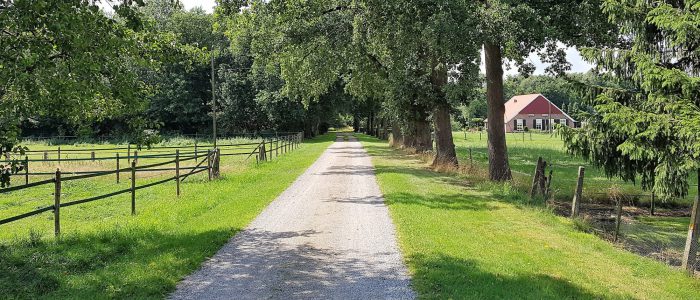 Informatie – Barlo.nl