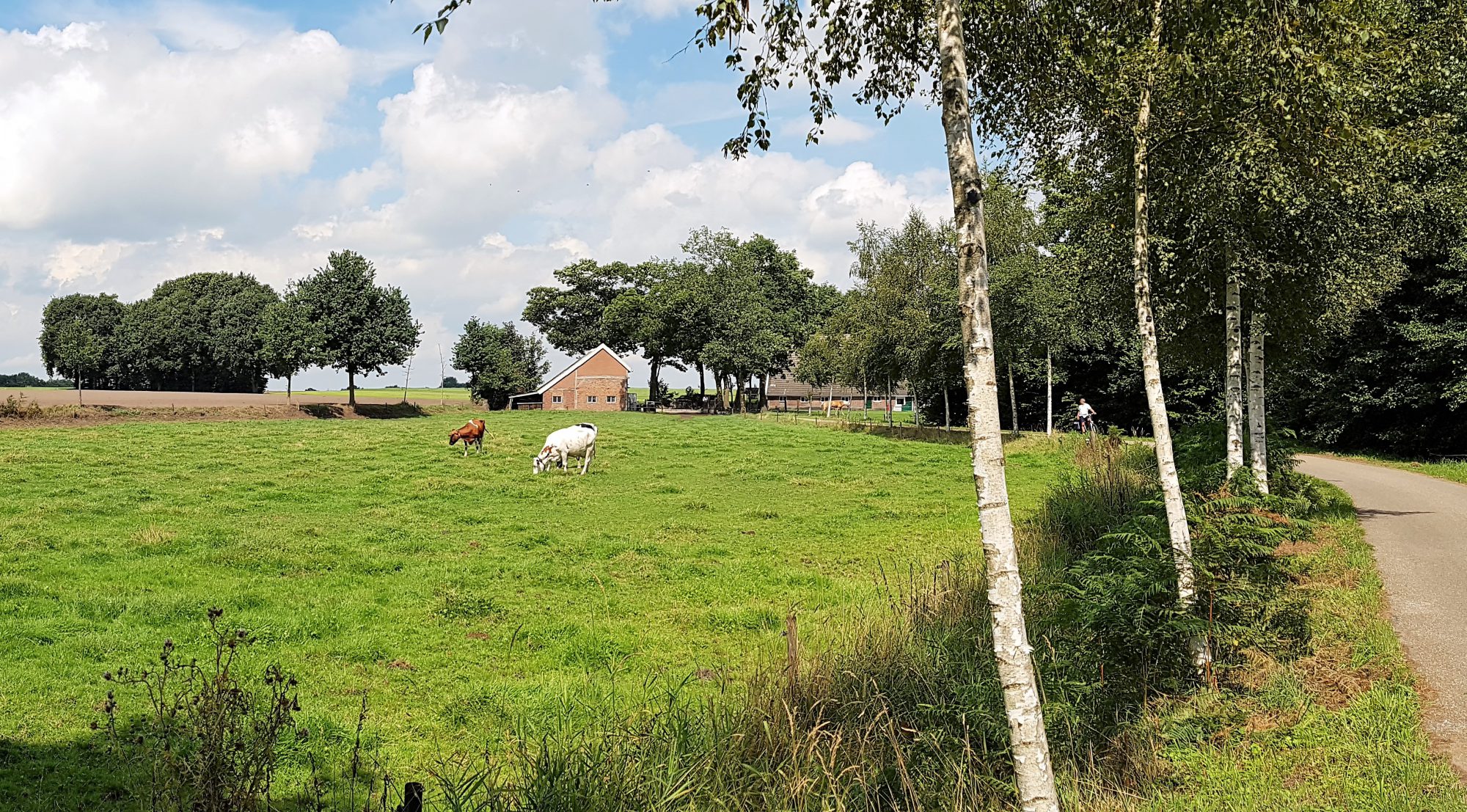 Barlo.nl – Buurtschap van de gemeente Aalten